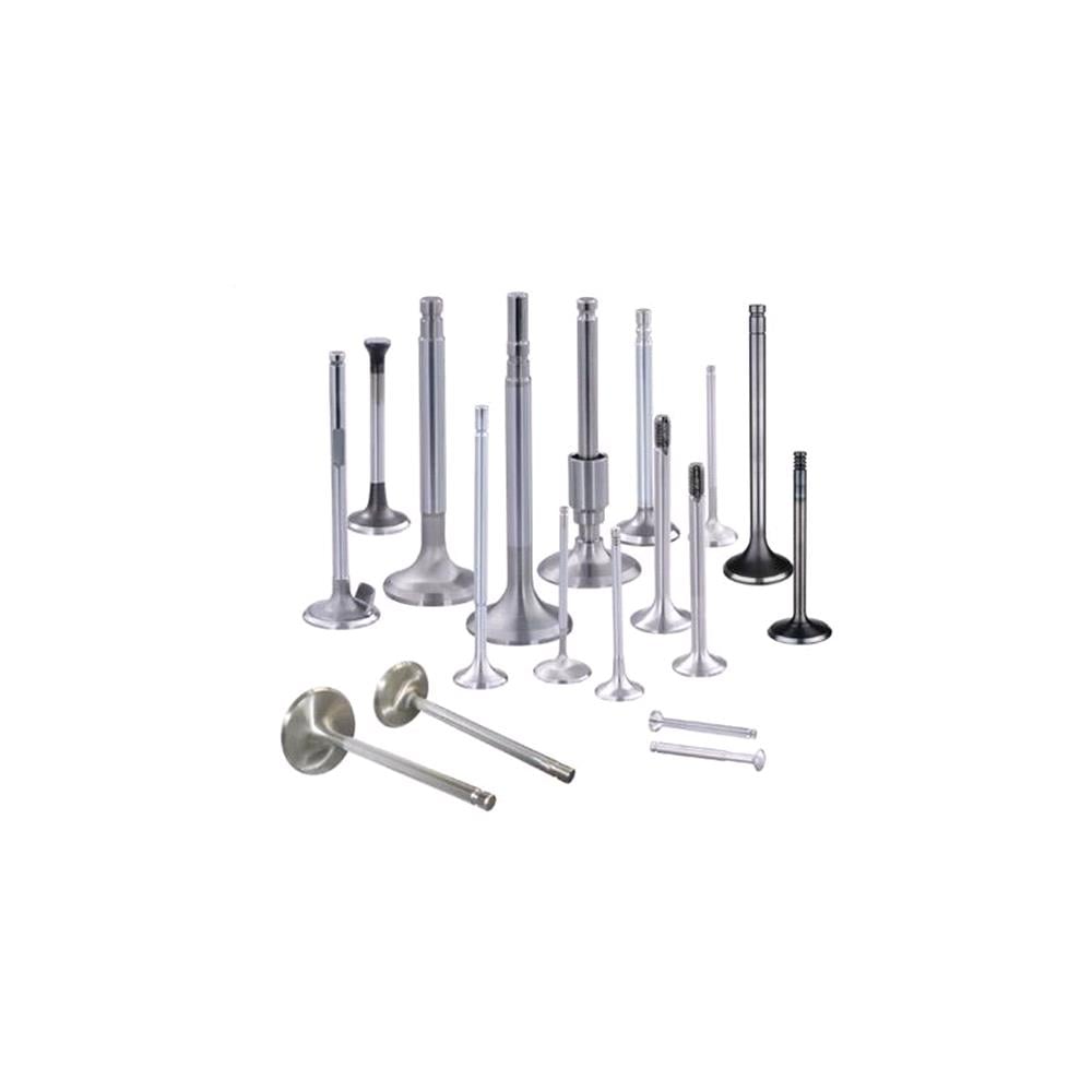 Ford Focus Engine Valves | MicksGarage